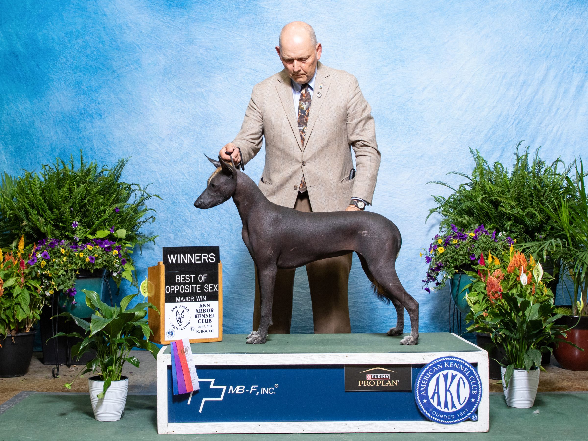 Xolo Show Photos – Kingslee Cavaliers